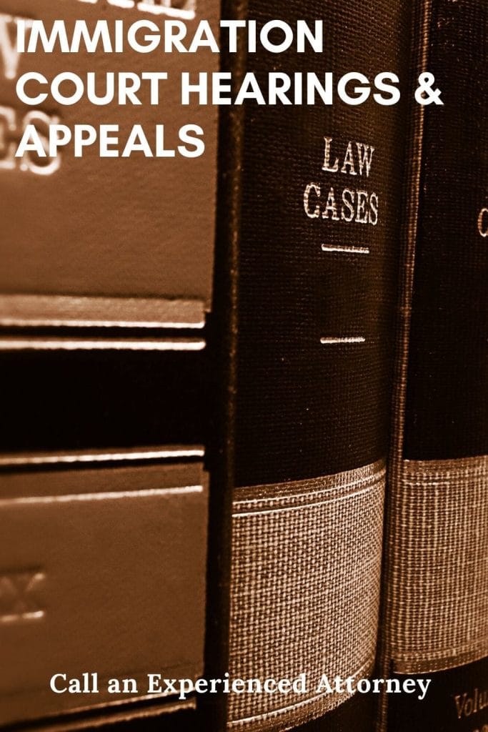 Immigration Court PINS discussed by Brian D. Lerner