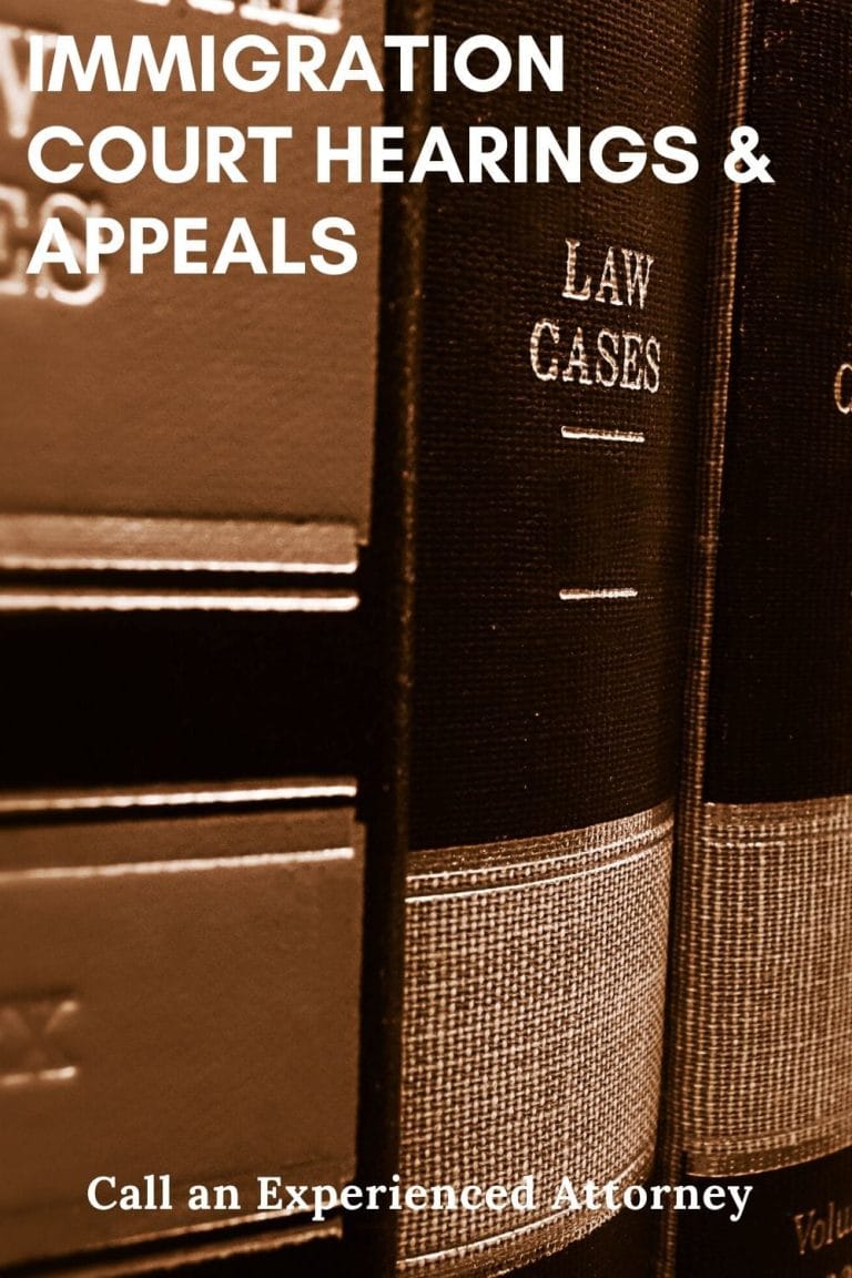 Immigration Court PINS discussed by Brian D. Lerner