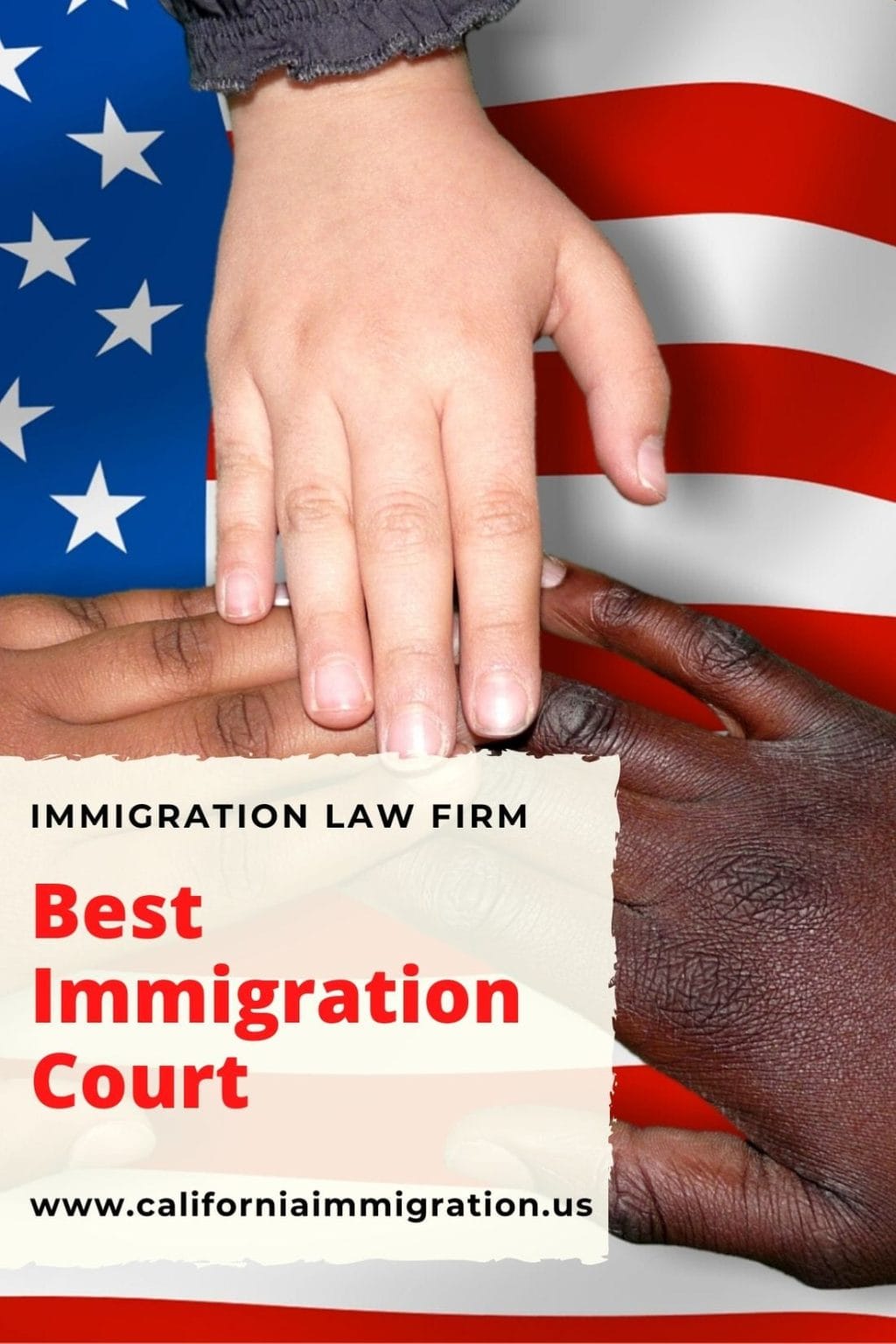 Immigration Court PINS discussed by Brian D. Lerner
