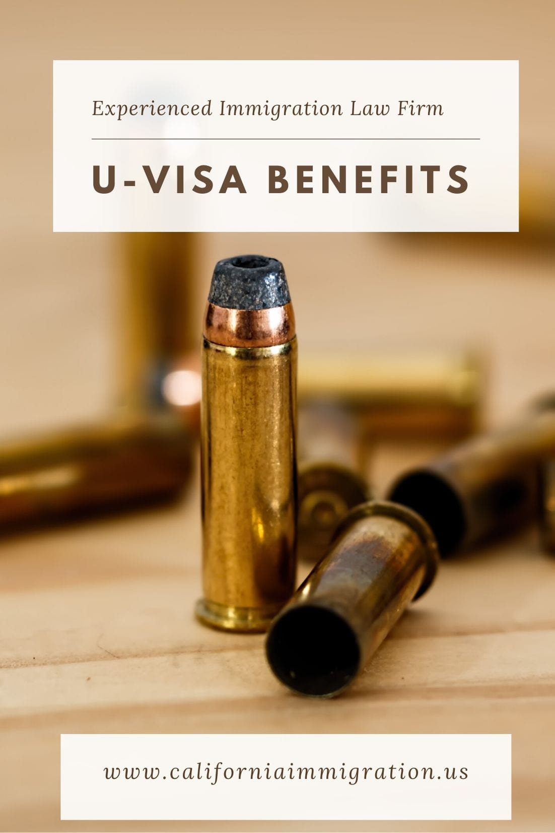Best U Visa Attorney | U Visa Immigration Lawyer
