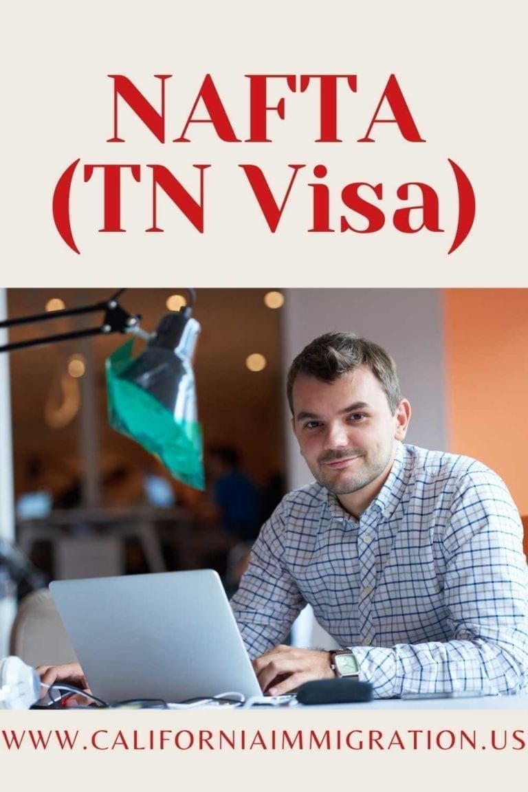 TN Treaty NAFTA visa | Brian D Lerner