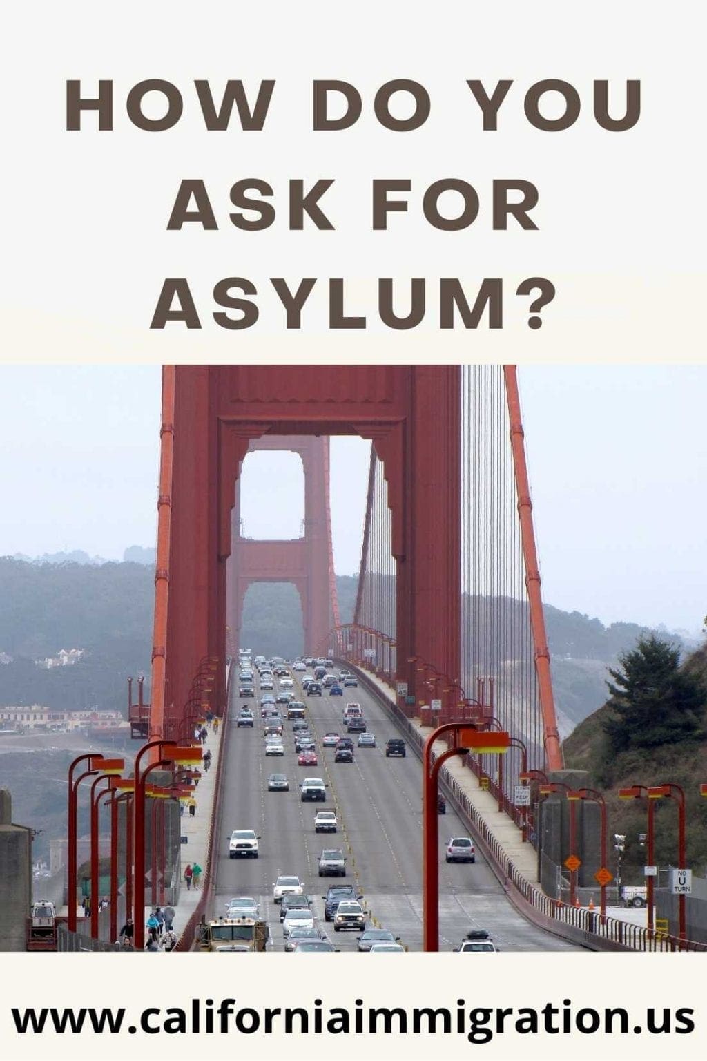 Understanding Asylum