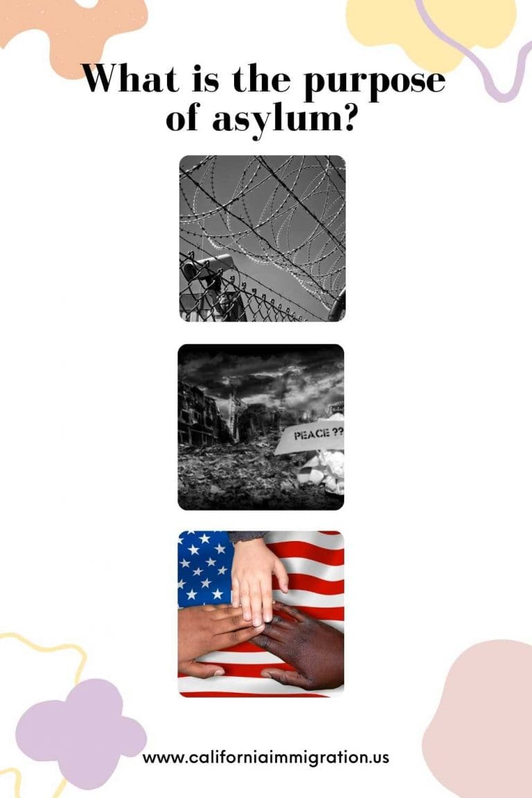 The U.S. from Asylum Lawyer | Brain.D.Lerner