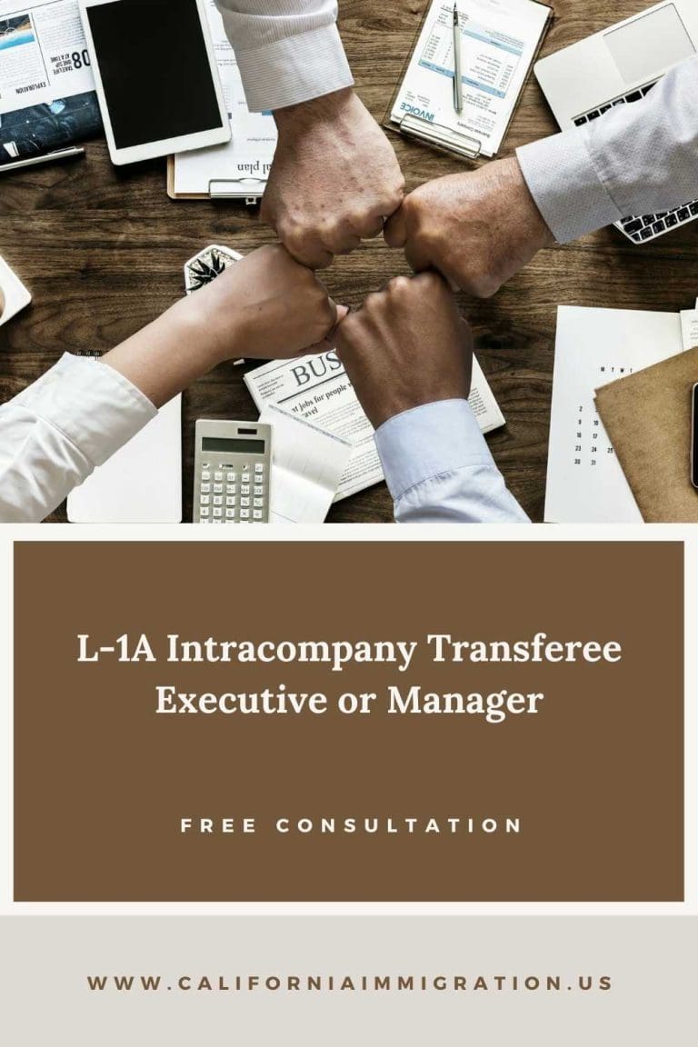 L-1 Intracompany Transferee Visa PINS by Brian Lerner