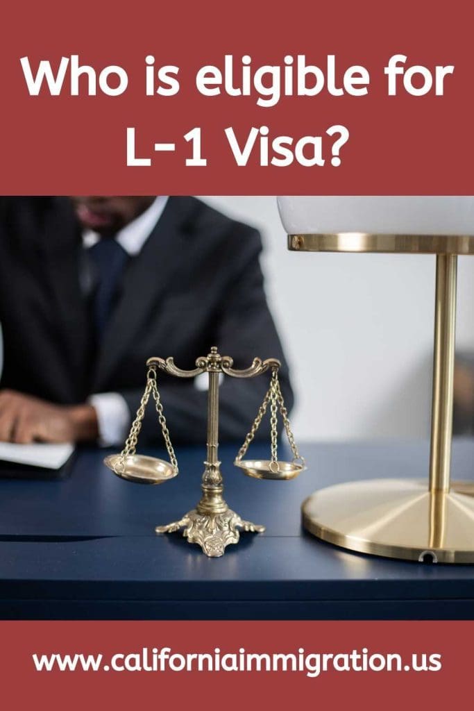 L-1 Intracompany Transferee Visa PINS by Brian Lerner