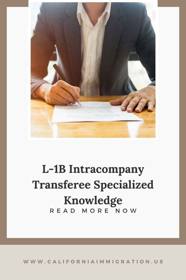 L-1 Intracompany Transferee Visa PINS by Brian Lerner